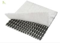 China Anti Grass Root 2m Width Drainage Geocomposite For Retaining Wall for sale