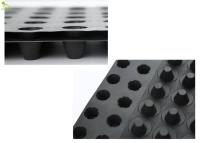 China Underground Water System Drainage Geocomposite Board Height 12mm for sale