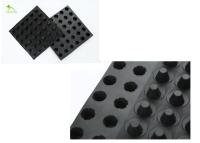 China Underground Water System Drainage Geocomposite Board Height 12mm for sale