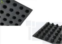 China Filled Beneath Pathways Drainage Geocomposite HDPE Height 12mm for sale