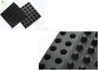 China Filled Beneath Pathways Drainage Geocomposite HDPE Height 12mm for sale