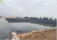 China Sewage Lagoons Impervious Geotextile Project 1.5mm HDPE Geomembrane Pond Liner for sale