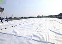China 250g Geotextile Project Impermeable Waterproof For Municipal Infrastructure for sale