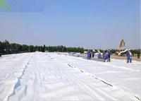 China 250g Geotextile Project Impermeable Waterproof For Municipal Infrastructure for sale