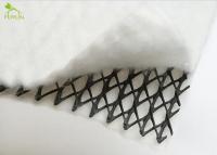 China Retaining Wall Drainage Geocomposite Anti Grass Root With Geogrid for sale