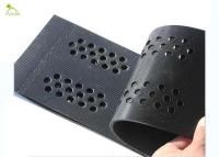 China Deep Slope Stabilization HDPE Geocells Inclined Surface 200mm 100mm for sale
