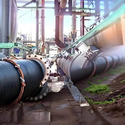China Custom Austenitic Stainless Steel Anodically Protected Pipe for Concentrated Sulfuric Acid 85% for sale