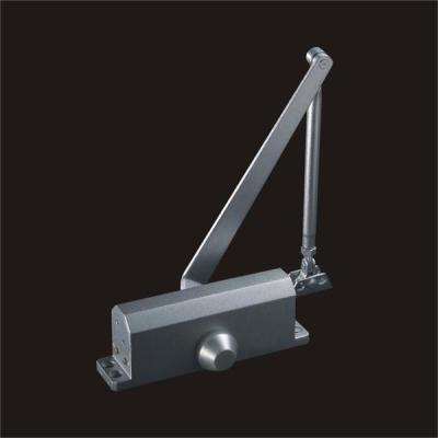 China Hotel Glass Door Concealed Closer for Temperature -40 degree-80 degree and Long Lifespan for sale