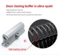 China Adjustable Hidden Hydraulic Door Closer for Standard Applications and Smooth Closing for sale