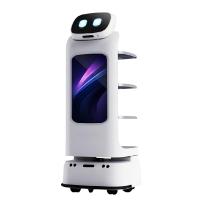 China Commercial Autonomous Delivery Robot 40kg Payload 8h Runtime 4G 5G Wi-Fi Auto Recharge for Retail Supermarkets for sale