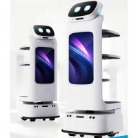 China Commercial Autonomous Delivery Robot 40kg Payload 8h Runtime 4G 5G Wi-Fi Auto Recharge for Retail Supermarkets for sale