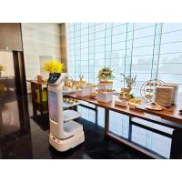 China Commercial Autonomous Delivery Robot 40kg Payload 8h Runtime 4G 5G Wi-Fi Auto Recharge for Retail Supermarkets for sale