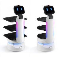 China Smart Waiter Food Delivery Robot 21 Inch Screen 30kg Payload Autonomous Commercial Robot for sale