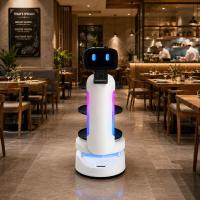 China Smart Waiter Food Delivery Robot 21 Inch Screen 30kg Payload Autonomous Commercial Robot for sale
