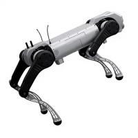 China D1MaxPro inspection robot for sale