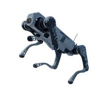 China D1MaxPro inspection robot for sale