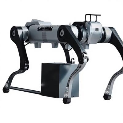 China D1MaxPro inspection robot for sale