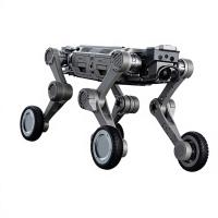 China D1Max inspection robot for sale