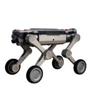 China D1Max inspection robot for sale