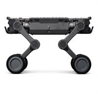 China D1Max inspection robot for sale