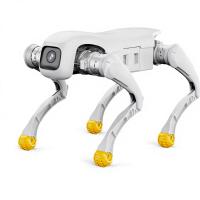 China D1 PRO INSPECTION ROBOT for sale