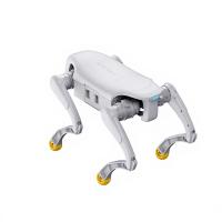 China D1 PRO INSPECTION ROBOT for sale