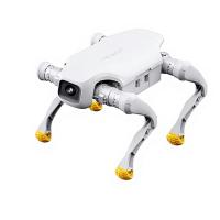 China D1 PRO INSPECTION ROBOT for sale