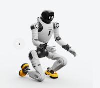 China AGIBOT X2 Series: High-PerformanceIntelligent & Agile Robot for sale