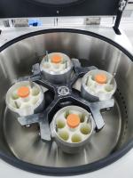 China Cence Blood Bank Centrifuge 3L New Model CLT55 / CLT55R Large Capacity Low Speed Centrifuge for sale