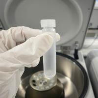 China High Speed Medical Supplies 10ml Round Bottom Test Tube with PPCO Material and Cap for sale