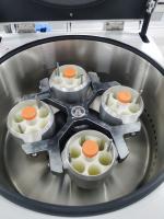 China Cence CLT55 Blood Bank Centrifuge 5500r/min 4x750ml Capacity for sale