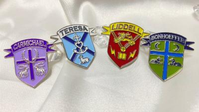 China Custom 2D/3D Design Zinc Alloy Soft Enamel Lapel Pins for Branding and Commemoration for sale