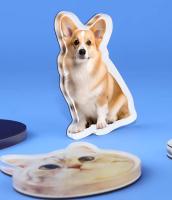 China HAPPY GIFT Custom Manufacture Pet Design Acrylic Fridge Magnet  Cute Anime Customization Holographic Plastic Sticker for sale