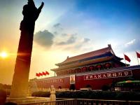 China Get No Criminal Record Certificate In China Certification Of No Criminal Record for sale