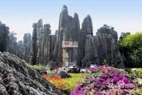 China Obtaining No Criminal Record Certificate In KUNMING Foreign Student Support for sale
