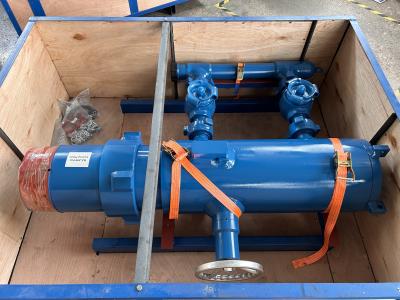 China 12-3/4'' API Casing LTC BTC Buckle connected 35Mpa Working Pressure Double Plug Cementing Head With Wooden Packing for sale