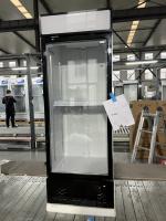 China Prepainted Aluminum Vertical Glass Door Freezer Optimized for Food or Ice Cream Storage Energy Saving Commercial Freezer for sale