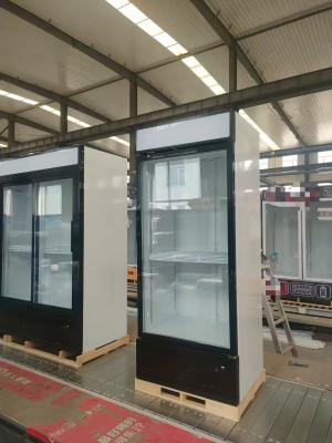 China STT Climate Type Upright Display Freezer One Door Model Perfect for Beverage and Frozen Food Display in Retail Settings for sale