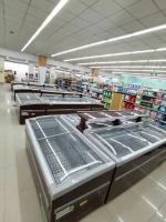 China Temperature Range -18 to -22 Degree Retail Frozen Food Display Featuring Sliding or Hinged Glass Doors Optional for Storefronts for sale