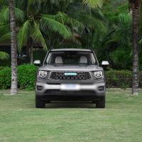 China Changcheng Haval H-DOG energy 2023 DHT-PHEV ABS 50km SUV 5 doors 5 seats ABS made good for sale