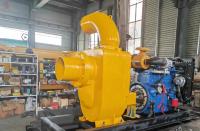 China Easy Installed 12 Hp Diesel Water Pump Water Pump Motor Set For Water Control for sale