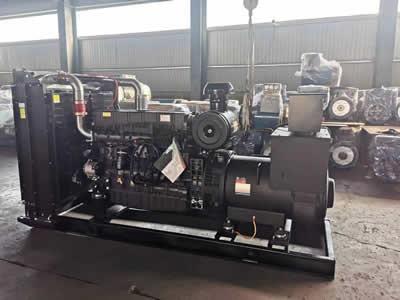 China 320 KW Marine Diesel Generator Water Cooling Cummins Diesel Home Generator for sale