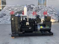 China 180 KW Super Perkins Generator Quick Repair Perkins 3 Phase Generator for sale