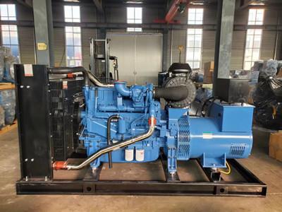 China 180 KW Super Perkins Generator Quick Repair Perkins 3 Phase Generator for sale