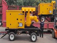 China Hydraulic Heavy Duty Diesel Water Pump Cast Iron Little Maintenance for sale