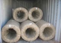 China Electro  Galvanized iron wire for sale