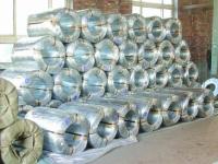 China Electro  Galvanized iron wire for sale