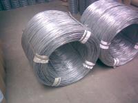 China Electro  Galvanized iron wire for sale