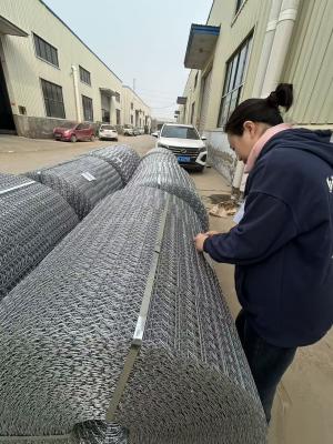 China Zinc Coating Pipeline Reinforced Mesh For Everglades Gas Pipeline for sale