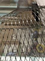 China 316 Stainless Steel Perimeter Safety Netting for High-Altitude Parabolic Anti-Falling for sale